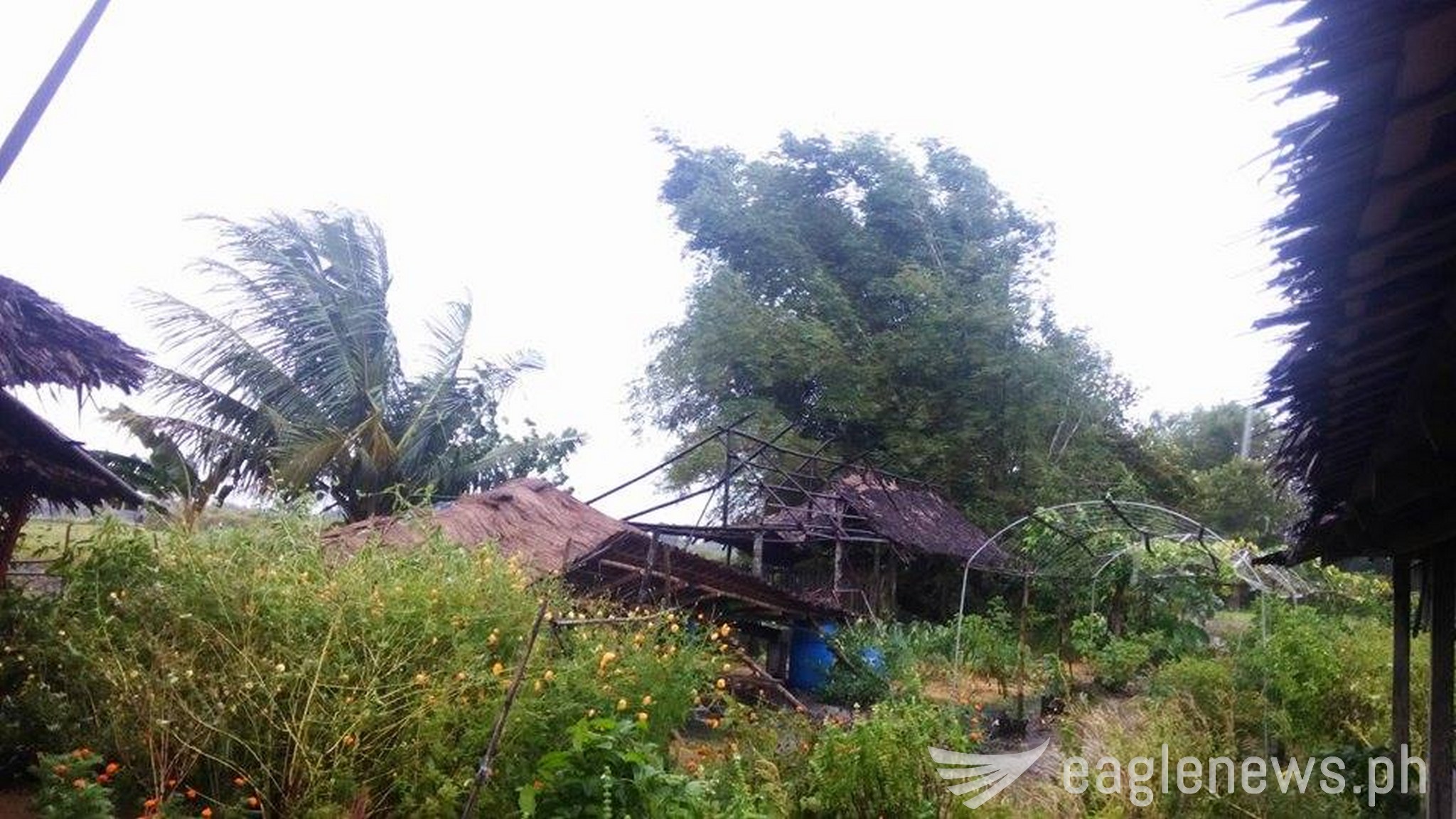 Typhoon “Ruby” causes floods in Quezon Province – Eagle News