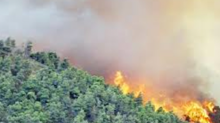 Forest fire sa Mt. Apo, nagpapatuloy pa rin – Eagle News