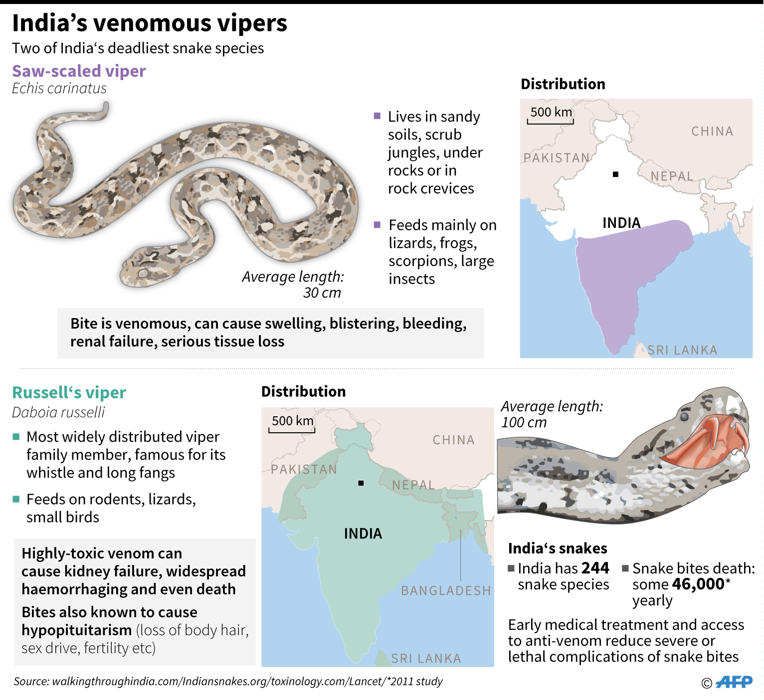 India’s venomous vipers – Eagle News