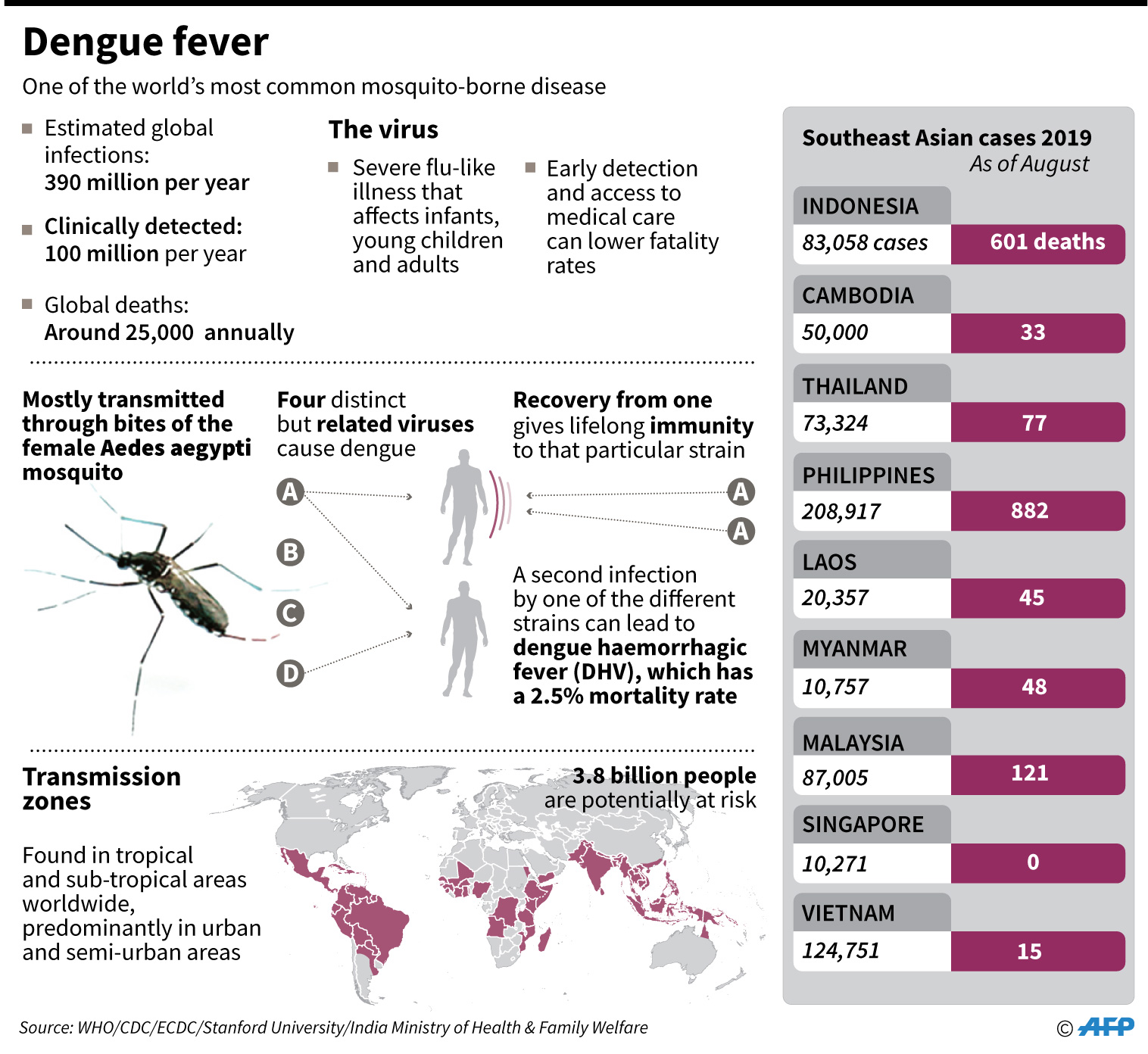 What is dengue, and why is it so widespread this year? – Eagle News